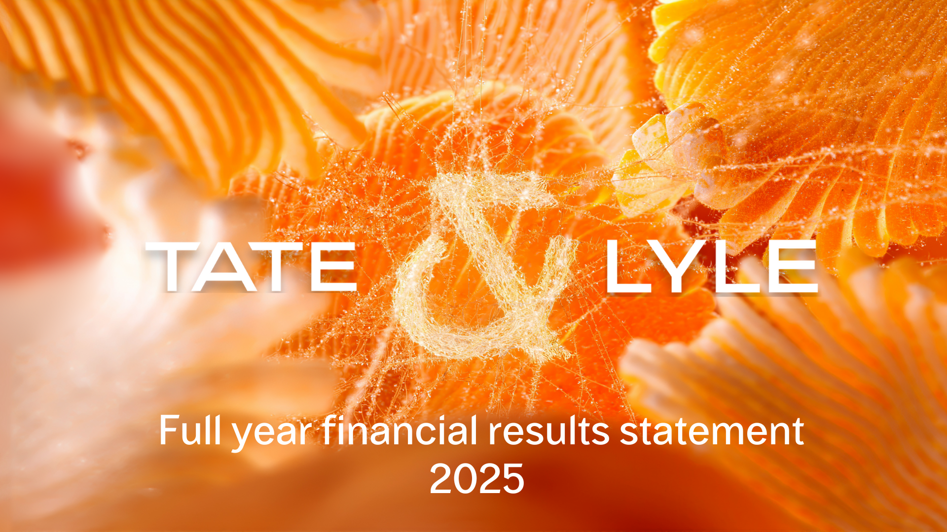 2025 Full Year Results Press Release Image.png