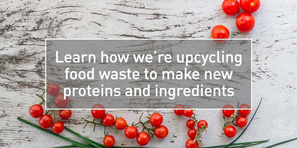 How we’re upcycling food waste into new proteins and ingredients